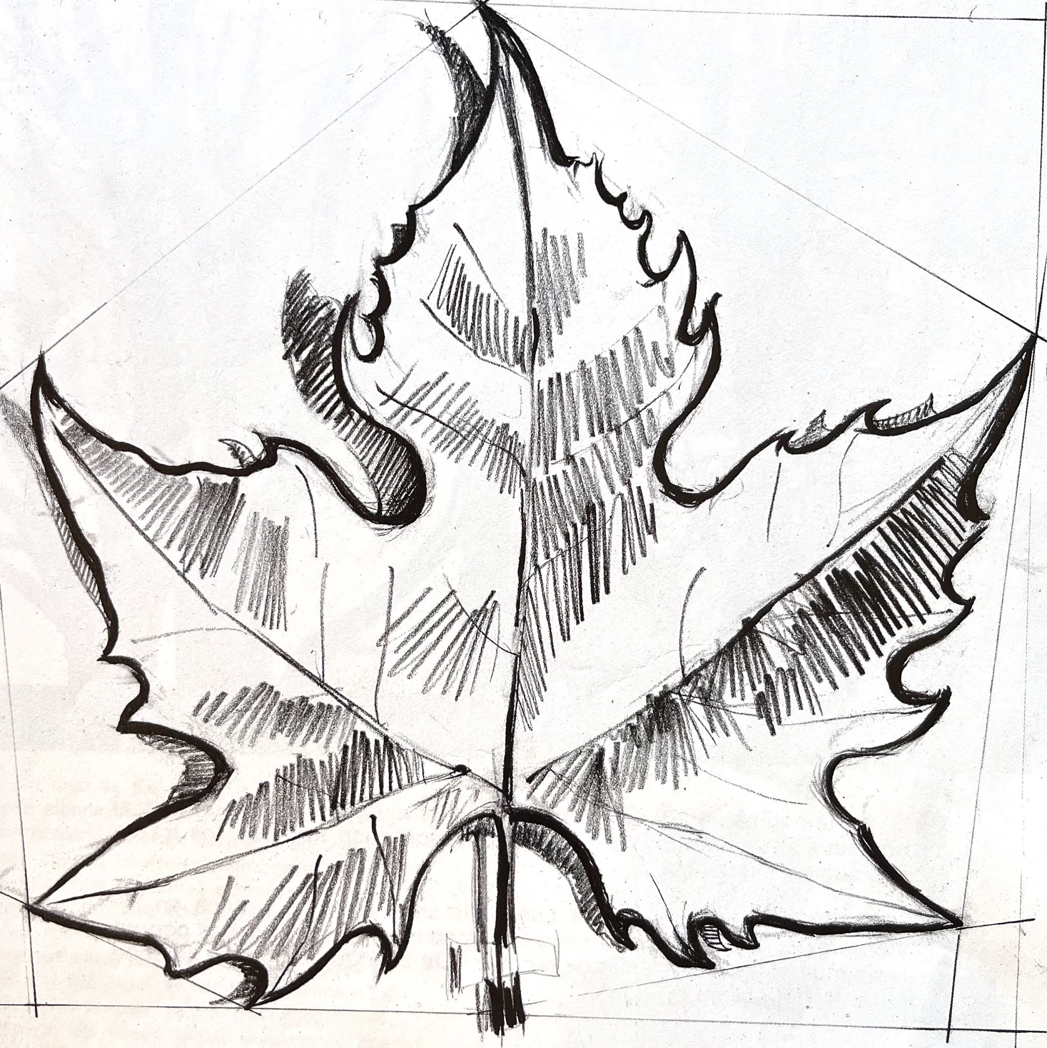 PLÁSTICA Y VISUAL: FORMAS DE LA NATURALEZA