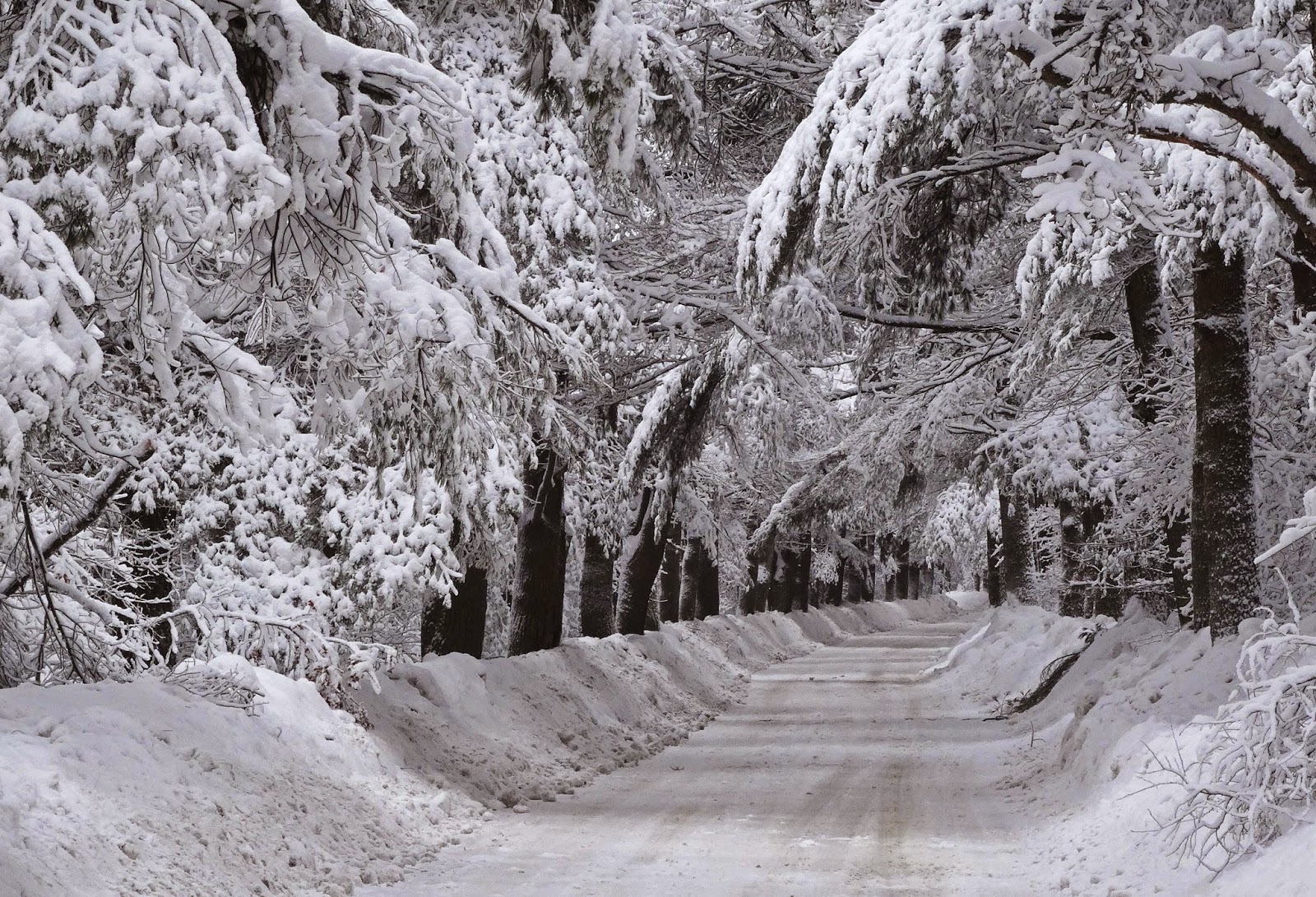 Joe's Retirement Blog: Pure as the Driven Snow, Old Sandwich Road ...