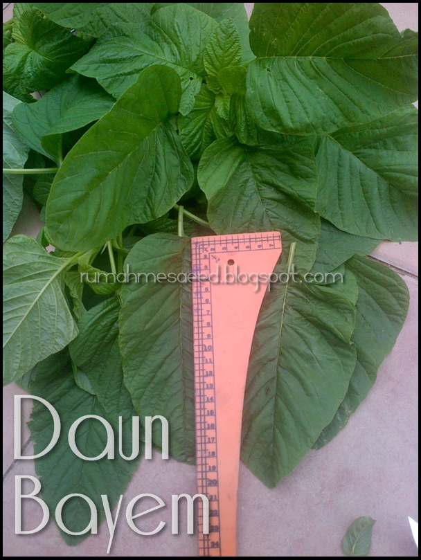 Welcome to Teawe's blog: 2013