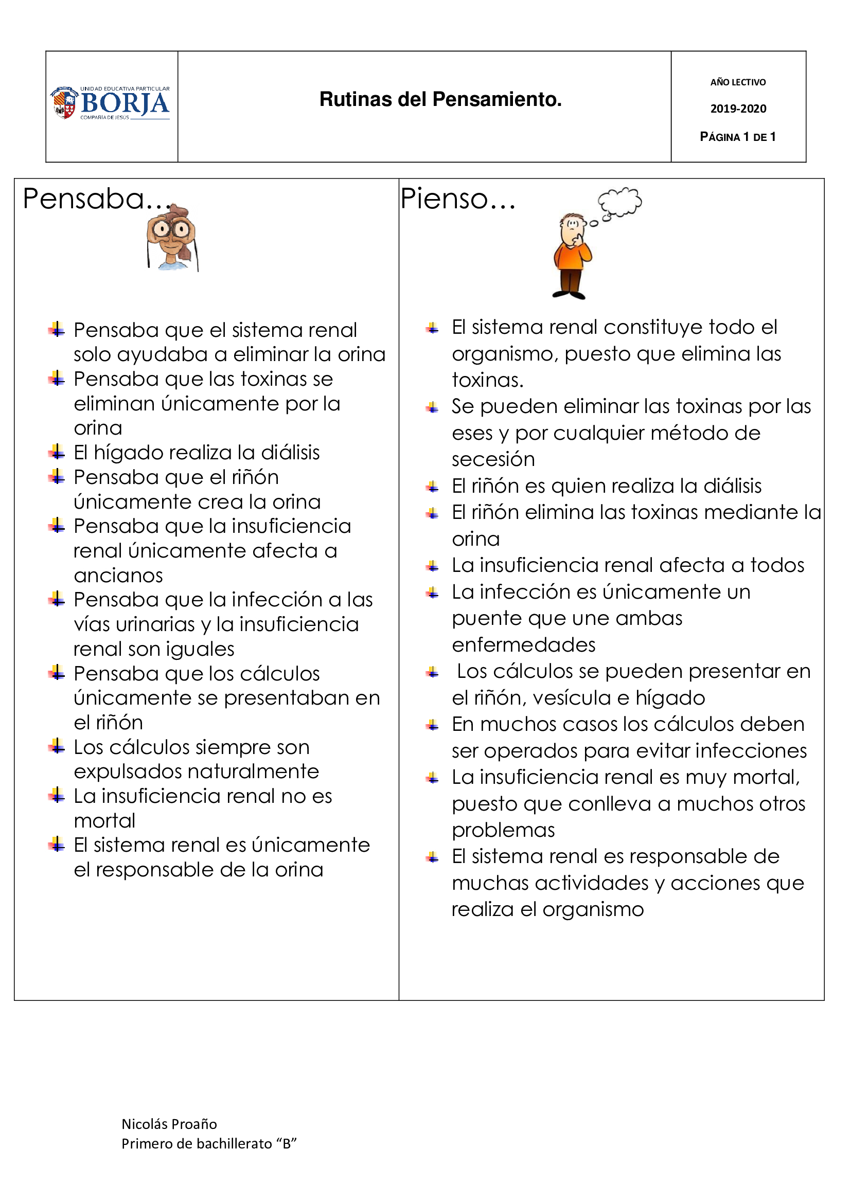 Rutina Pensamiento (Pensaba-Pienso) Sistema renal