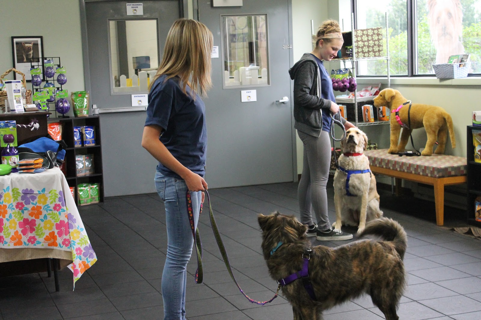 A Dog's Life: I'm Trapped and I Can't Get Out-What to do when you and ...