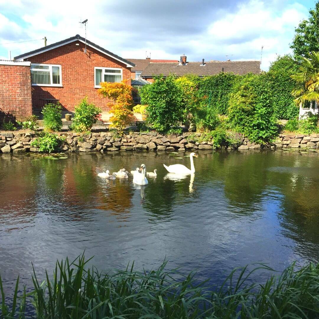 10 Benefits Of A Daily Walk | N. E. Ellis