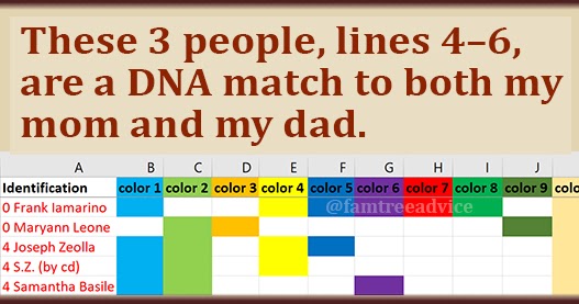 Fortify Your Family Tree: The Leeds Method May Have Solved a Big Family ...