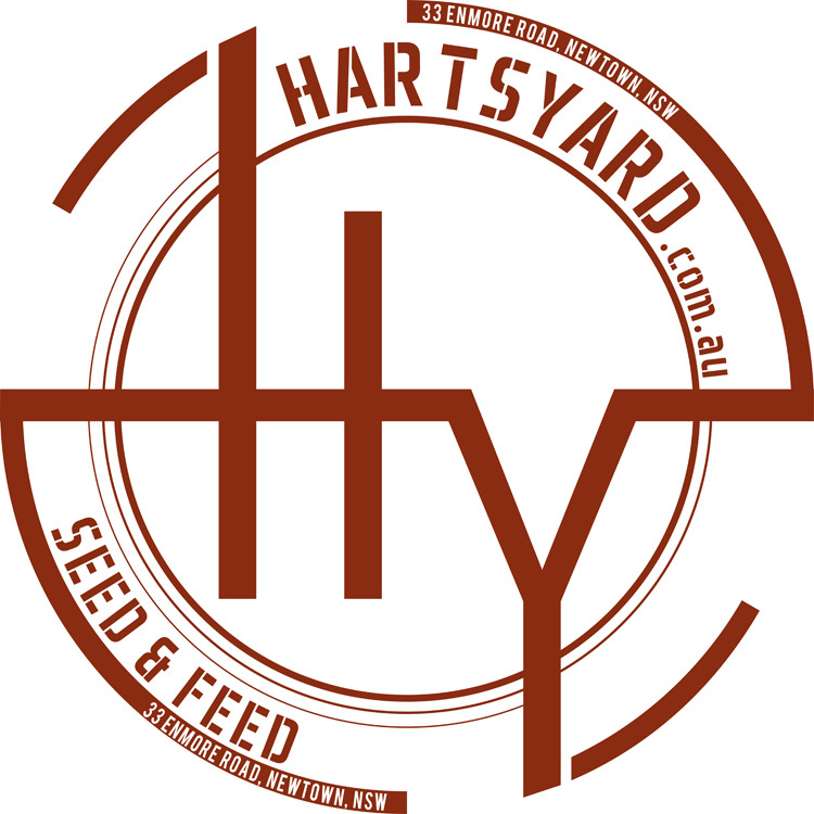 ISTD / Restaurant Identity | DC