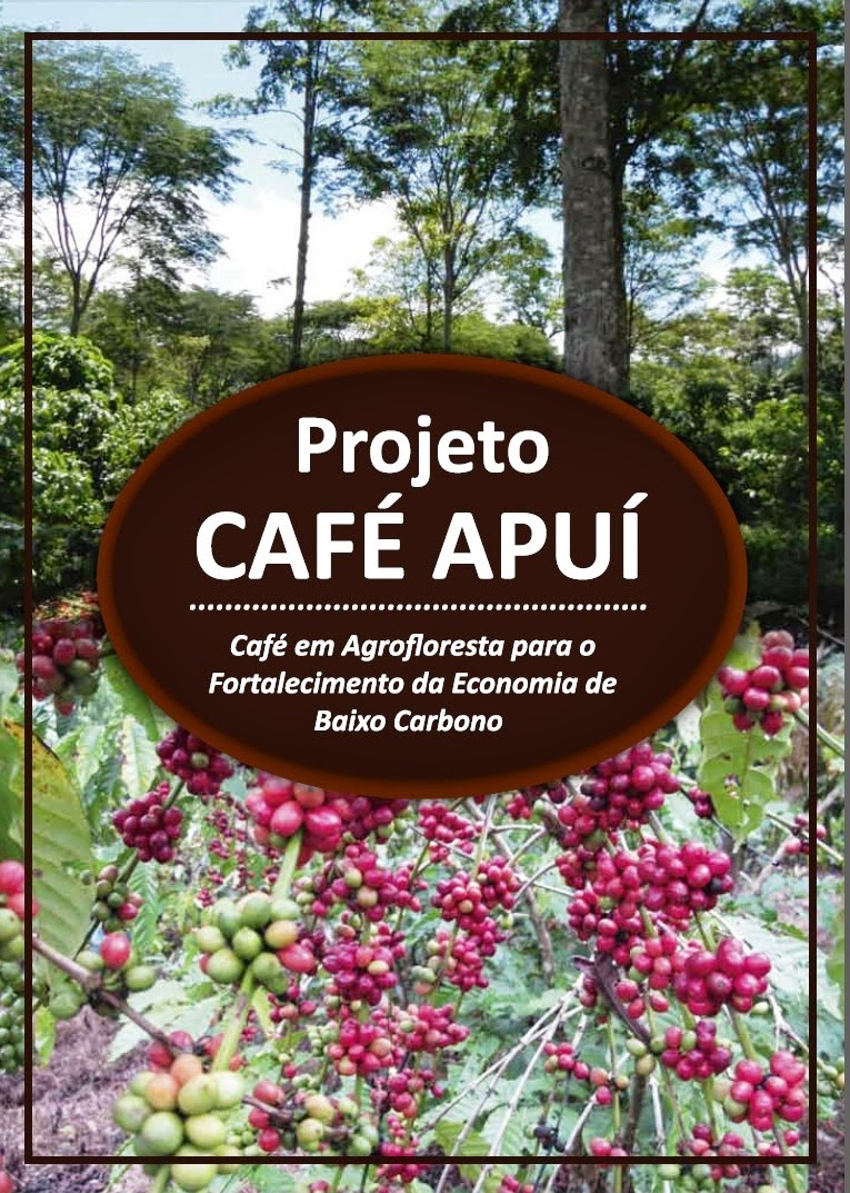 IDESAM – Conheça o “Projeto CAFÉ APUÍ” – Thomaz Rural