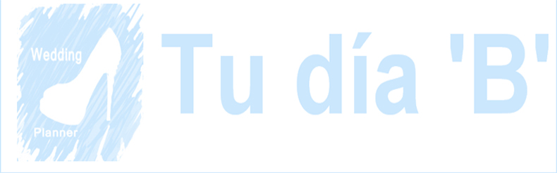 Tu día 'B': NOVIAS CON TRENZAS