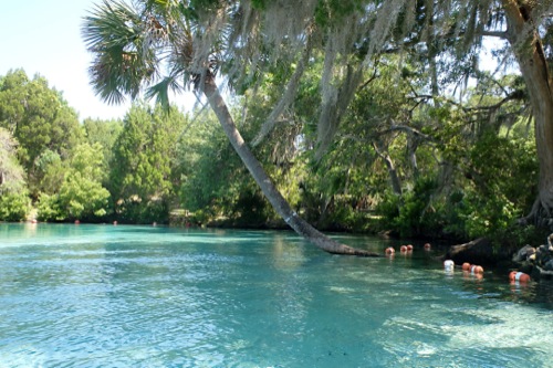 Life in the Slow Lane (The Pearl): April 28 - Lake George, FL