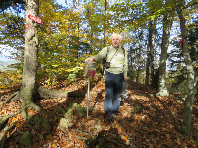 Tavanja po slovenskih hribih: Martinova pot