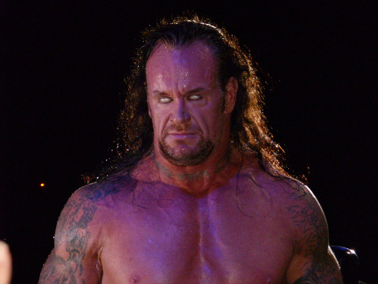 The Undertaker perto de atingir marca histórica em PPV - Noticias de ...