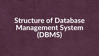 Structure of Database Management System (DBMS)