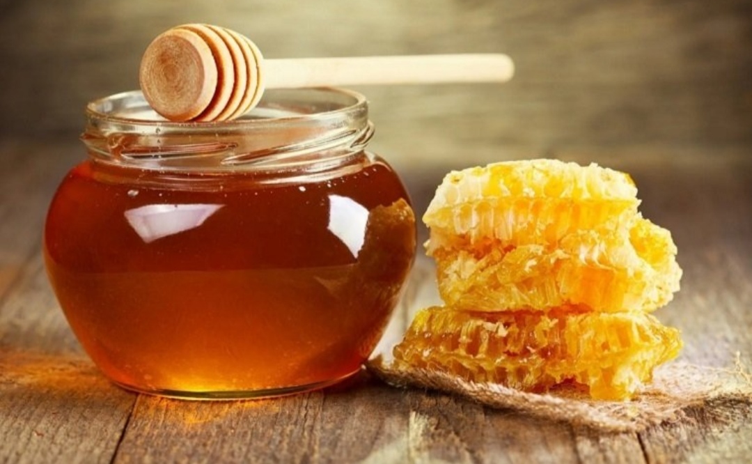 8 Jenis Madu di Indonesia untuk Kekebalan Tubuh - DWI PURWANTO