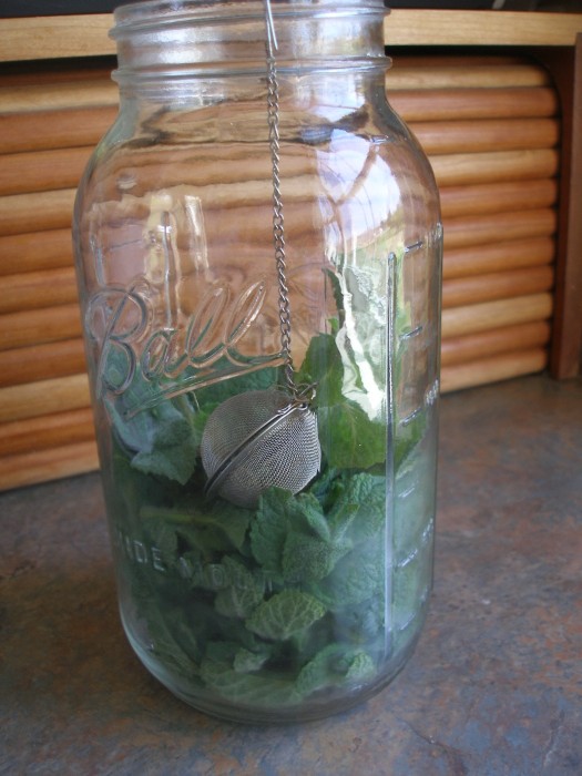 Thy Hand Hath Provided: Jar Uses & Mint Reminders
