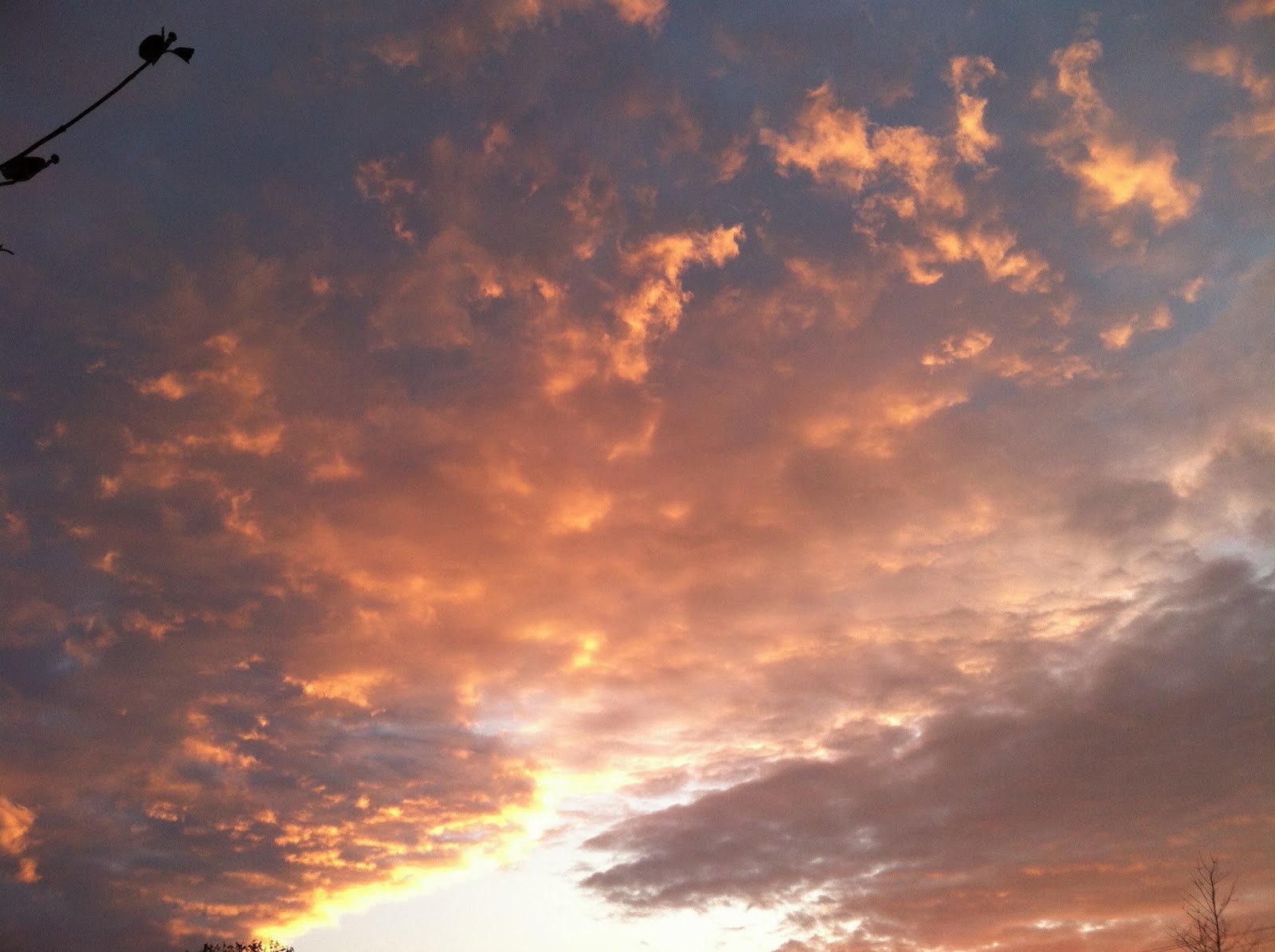 Leaping Greenly Spirits: Sabbath Sunset