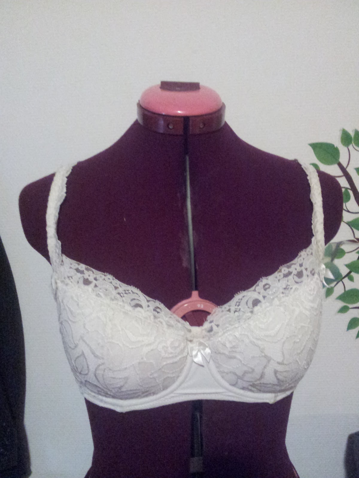 Refashion Co-op: Can you refashion bras?