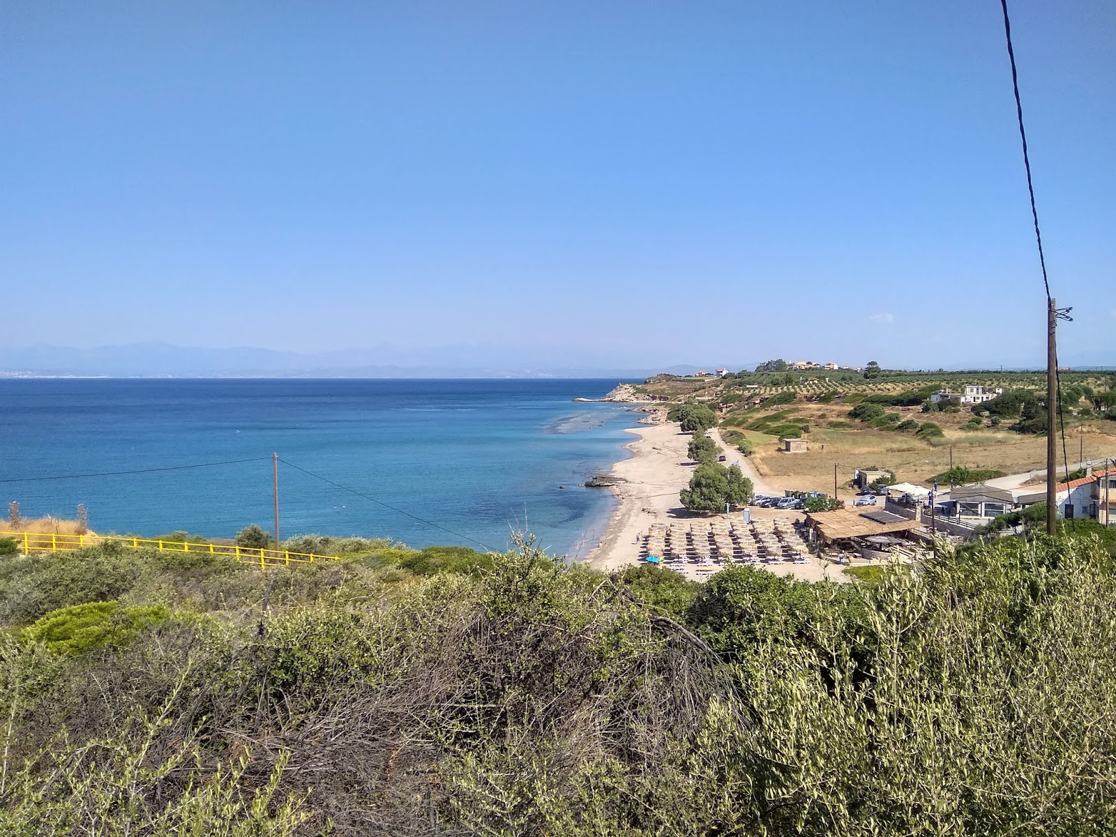 Η ΠΑΡΑΛΙΑ ΤΗΓΑΝΙΑ ΣΤΗΝ ΕΛΙΑ ΛΑΚΩΝΙΑΣ