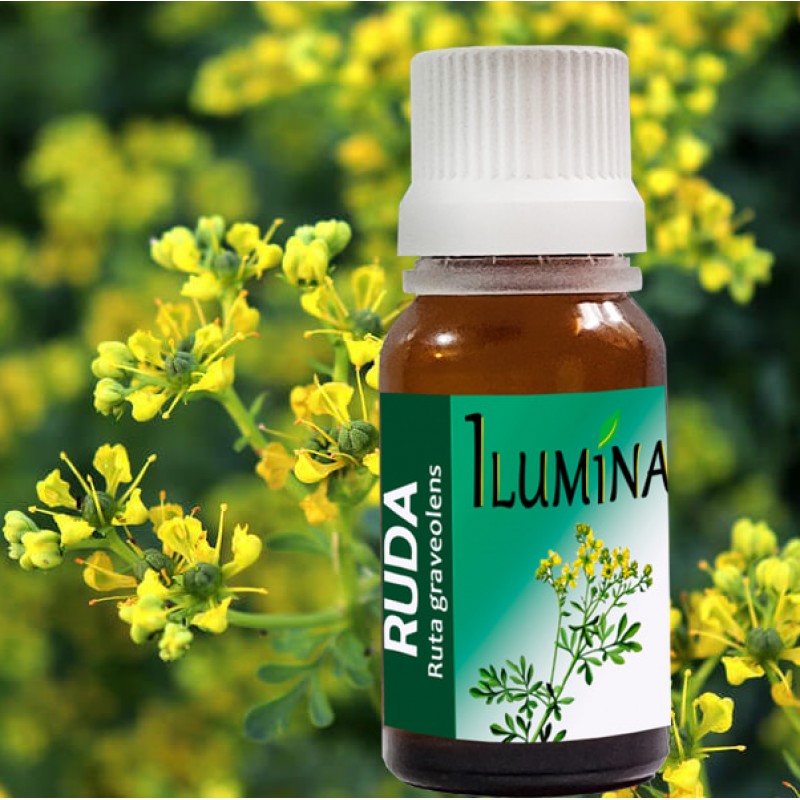 Aceite Esencial de Ruda ~ PRODUCTOS NATURALES ILUMINA