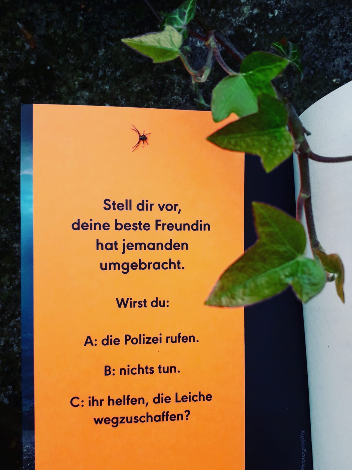 Die fabelhafte Welt der Bücher: [Rezension] Little Lies / Wer einmal lügt, dem glaubt man nicht ...