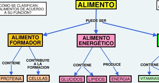 DISFRUTEMOS LAS CIENCIAS NATURALES profesor MAURIS SARRIA: ALIMENTOS mapa conceptual