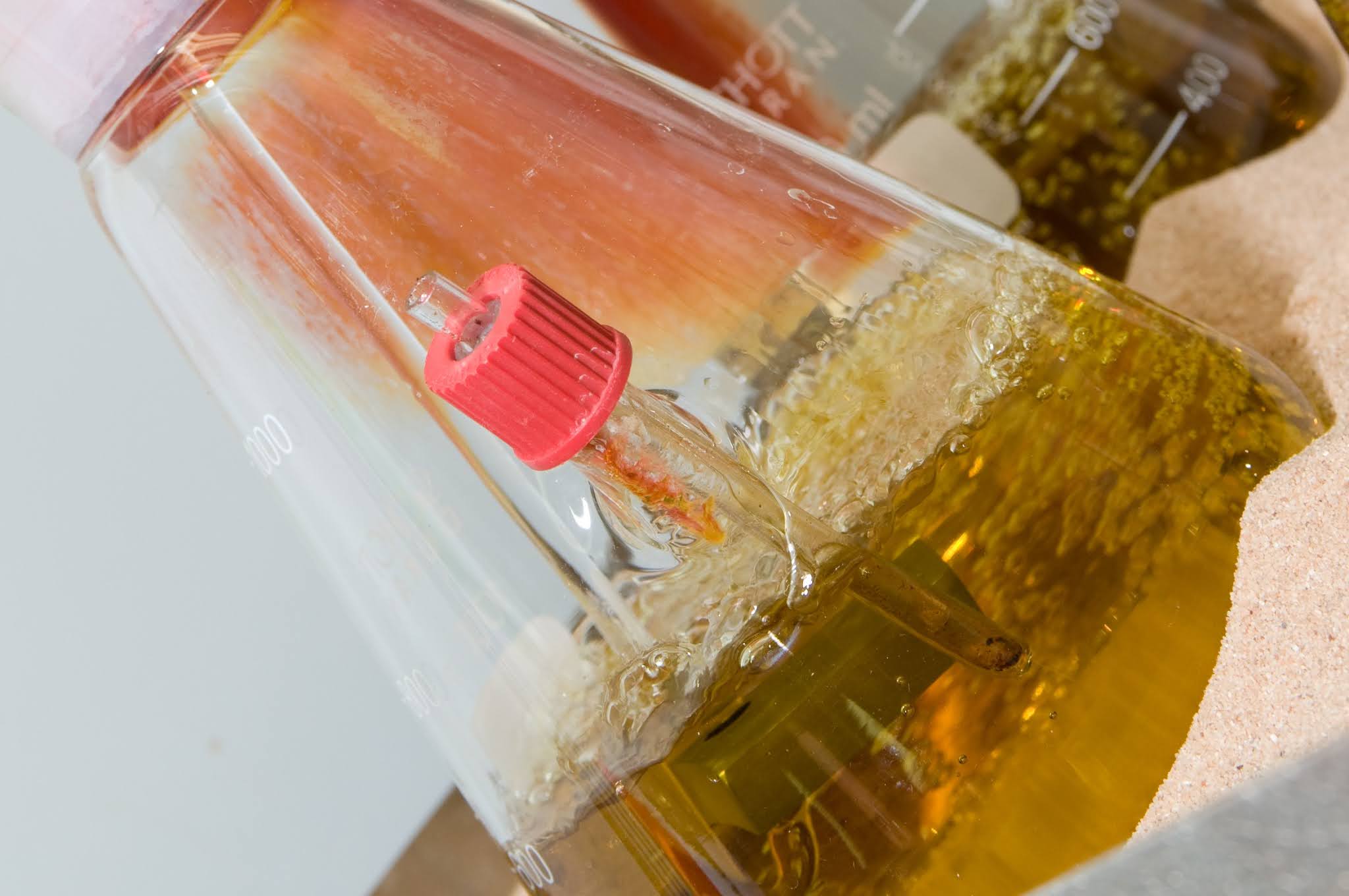 Corrosietesten: best practices voor de farmaceutische sector ...