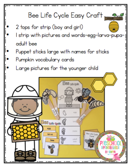 Bee Life Cycle Easy Craft ~ Preschool Printables
