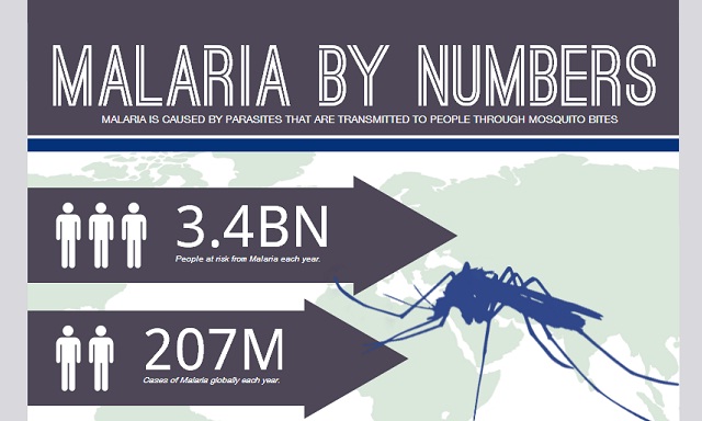 Malaria By Numbers #infographic - Visualistan
