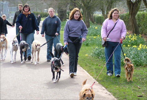 OXENFORD NEIGHBOURHOOD WATCH: NEIGHBOURHOOD WATCH DOG WALKING GROUP
