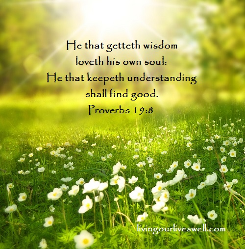 Living Our Lives Well: Proverbs 19 Scripture Pictures