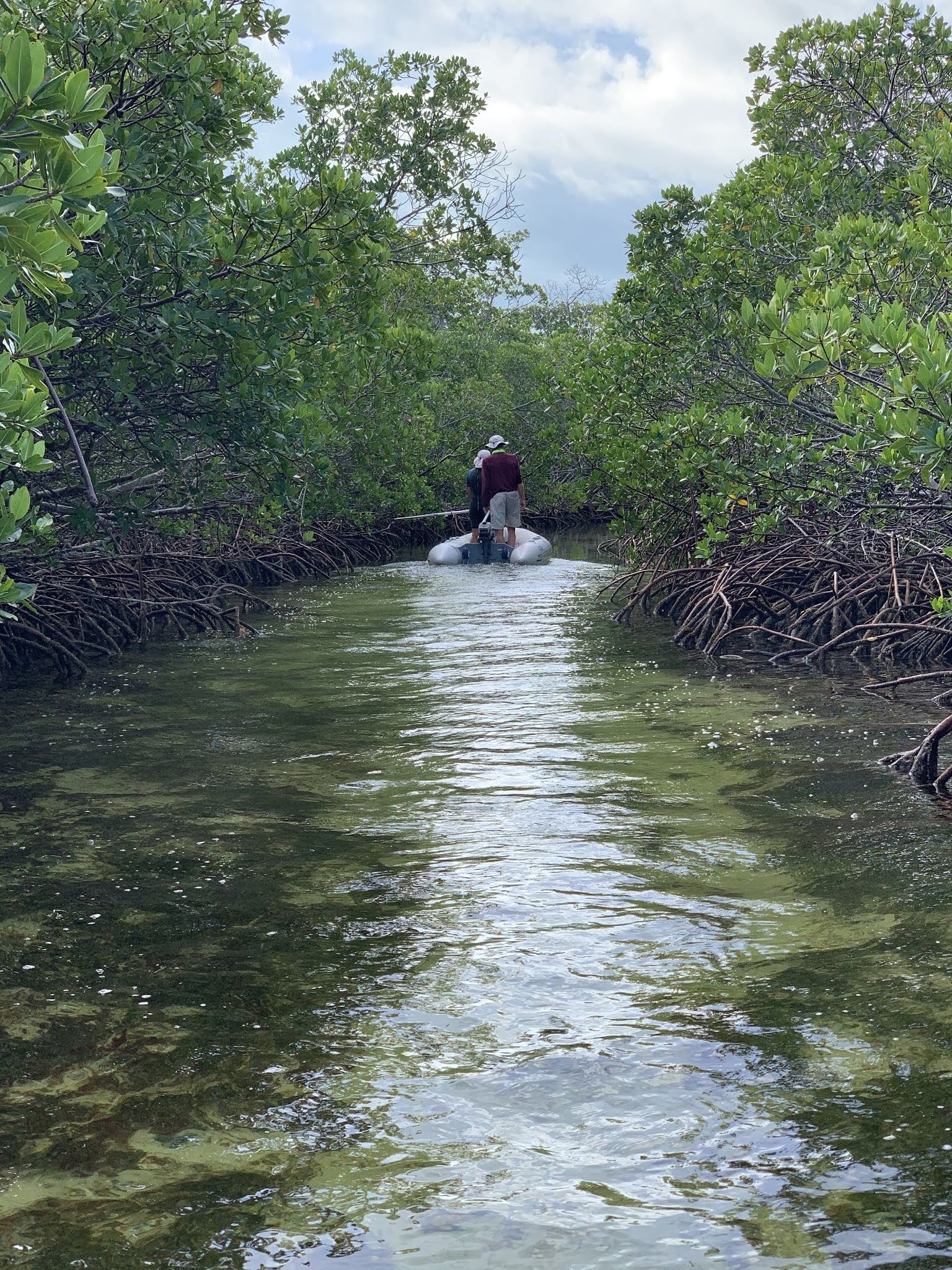 Sailing Onward: Post #57: Adult Day Camp in Bimini
