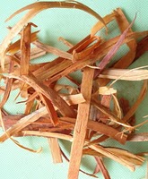 yogyamerah: KAYU SECANG (Caesalpinia sappan L.)