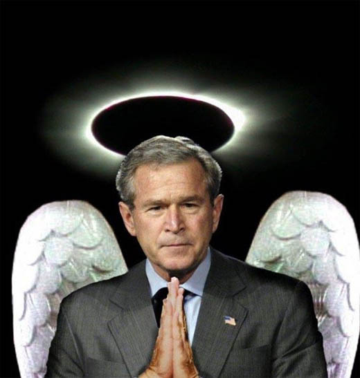 Cool Pictures: 30 Great funny bush Photos are the most gorgeous collection