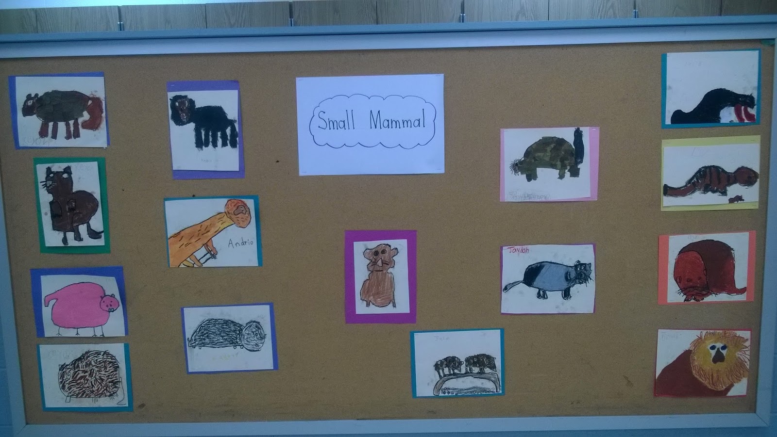 Rockin Out in 4th Grade: Throwback Thursday Part 2 - Animal Research ...