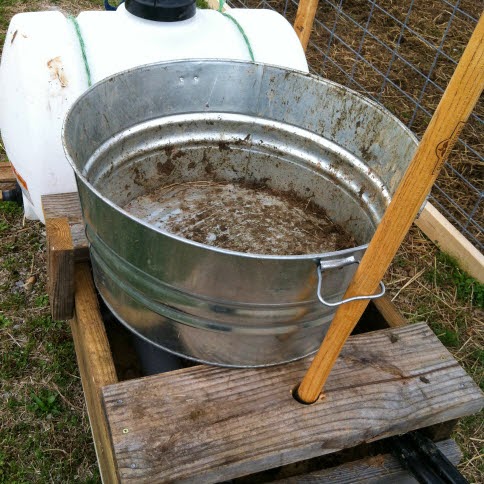 Homestead Catholic: The Cow Cart