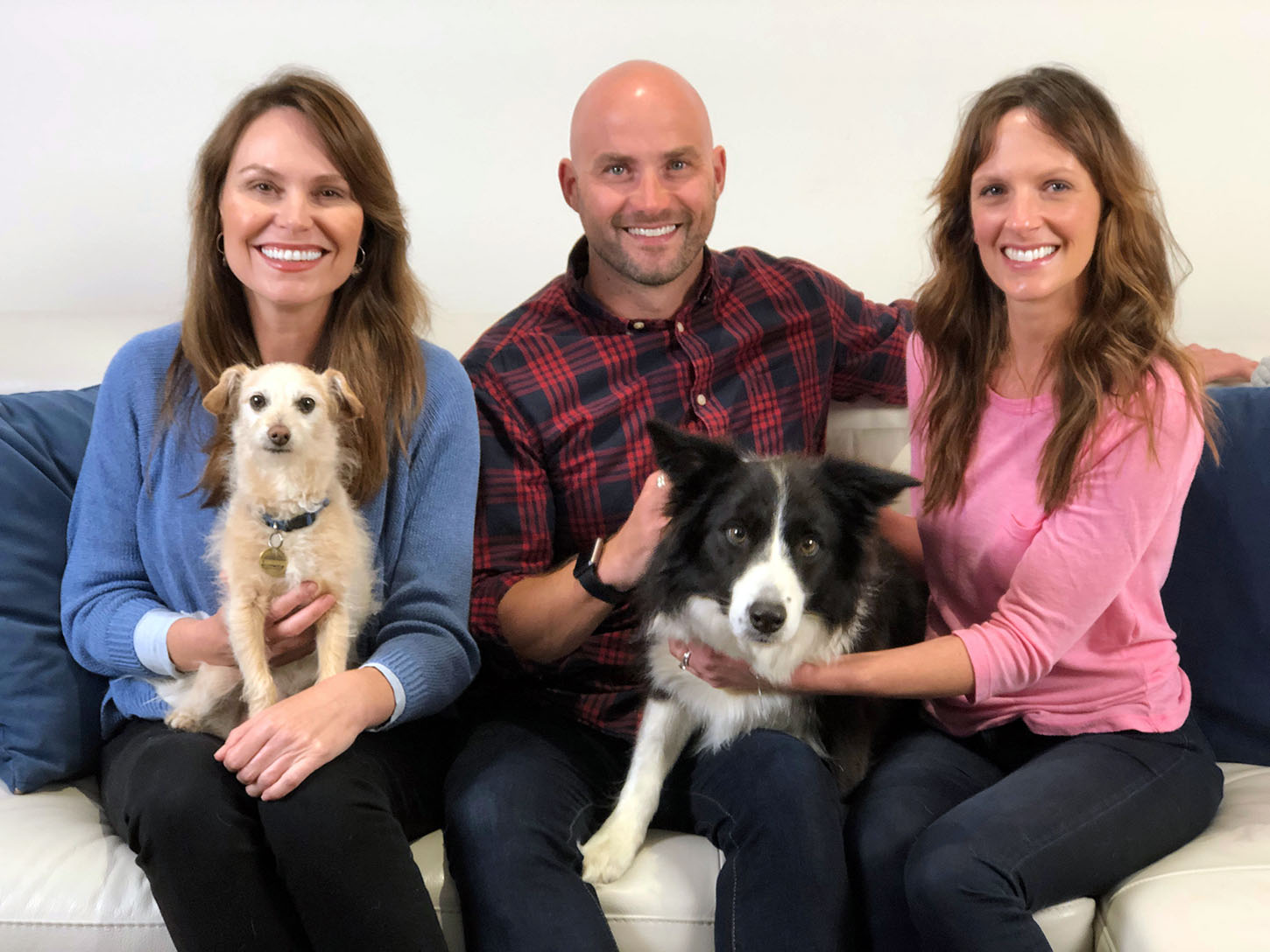 Pooches at Play Series 5 starts July 18 | Australian Dog Lover