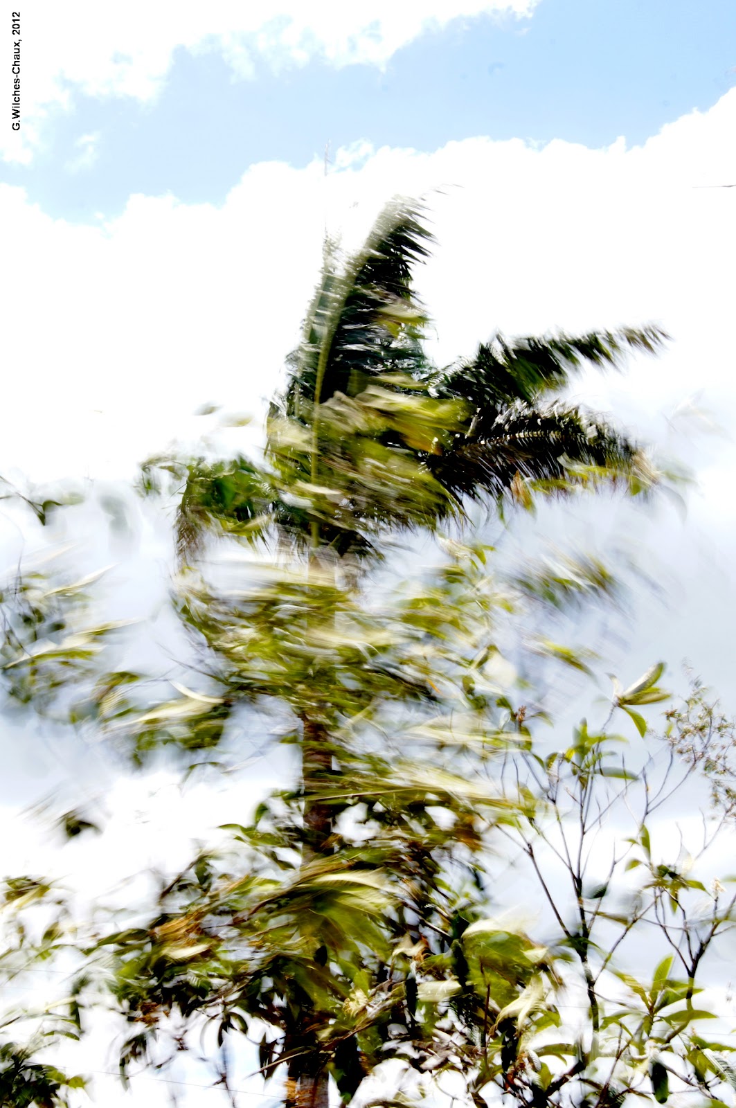 AGUACEROS Y GOTERAS: EL RETO DE RETRATAR EL VIENTO