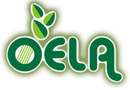 Imaflora: OELA, primeira Escola de Lutheria do mundo a utilizar ...