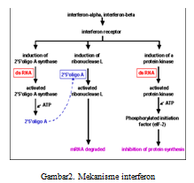 drh. Dewi Murni: Januari 2014