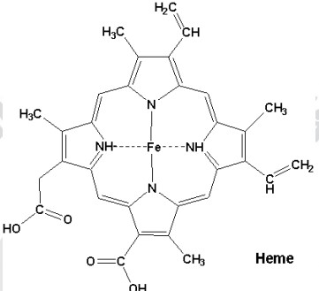 Structure of the Heme Prosthetic Group