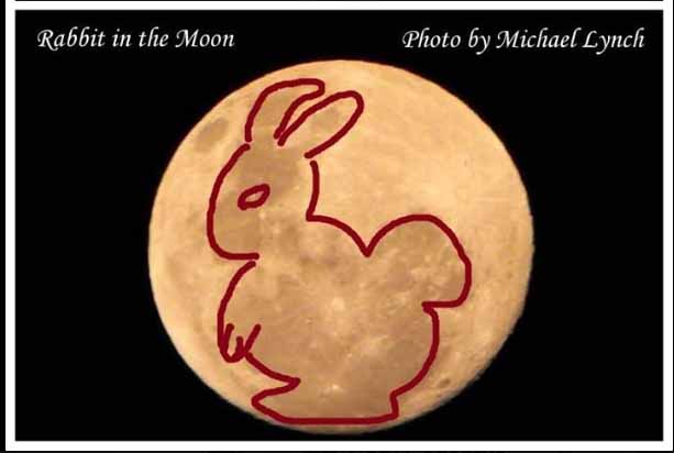 Ryukyu Life: Rabbit in the Moon Can Drive You Crazy