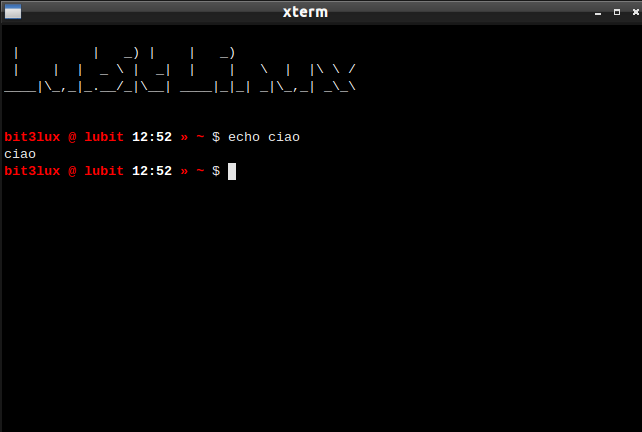 LUBIT LINUX: Lubit Linux: "Umanizziamo" xterm!