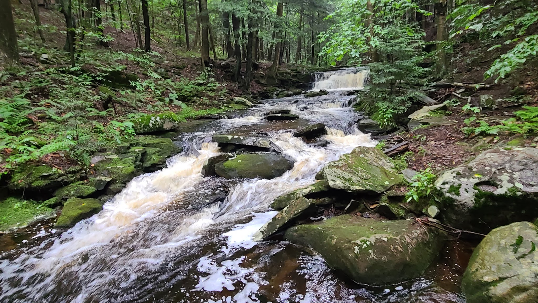 Valley Girl Views: Rusty Falls