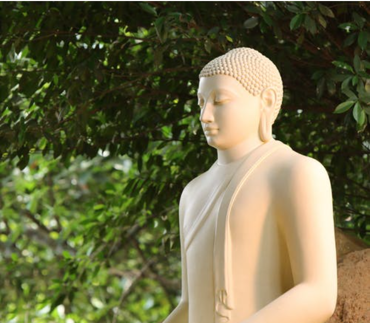 Origin of Sakyans and Koliyans