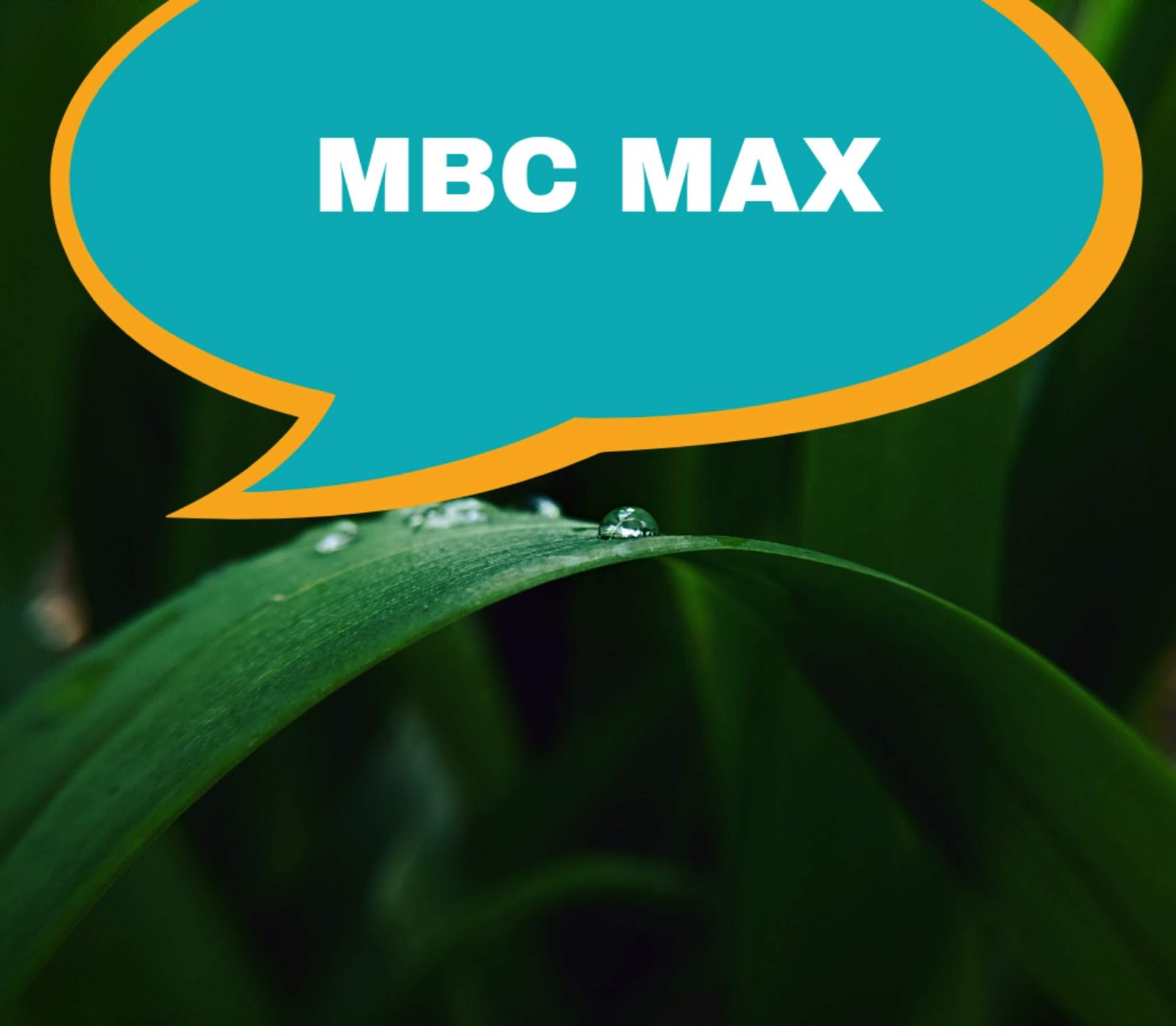 تردد قناة MBC MAX الجديد على القمر نايل سات 2020 - المال والتكنولوجيا