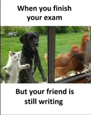 15 Exam Memes | Funniest Exam Memes Ever |Best Collection | Funny ...