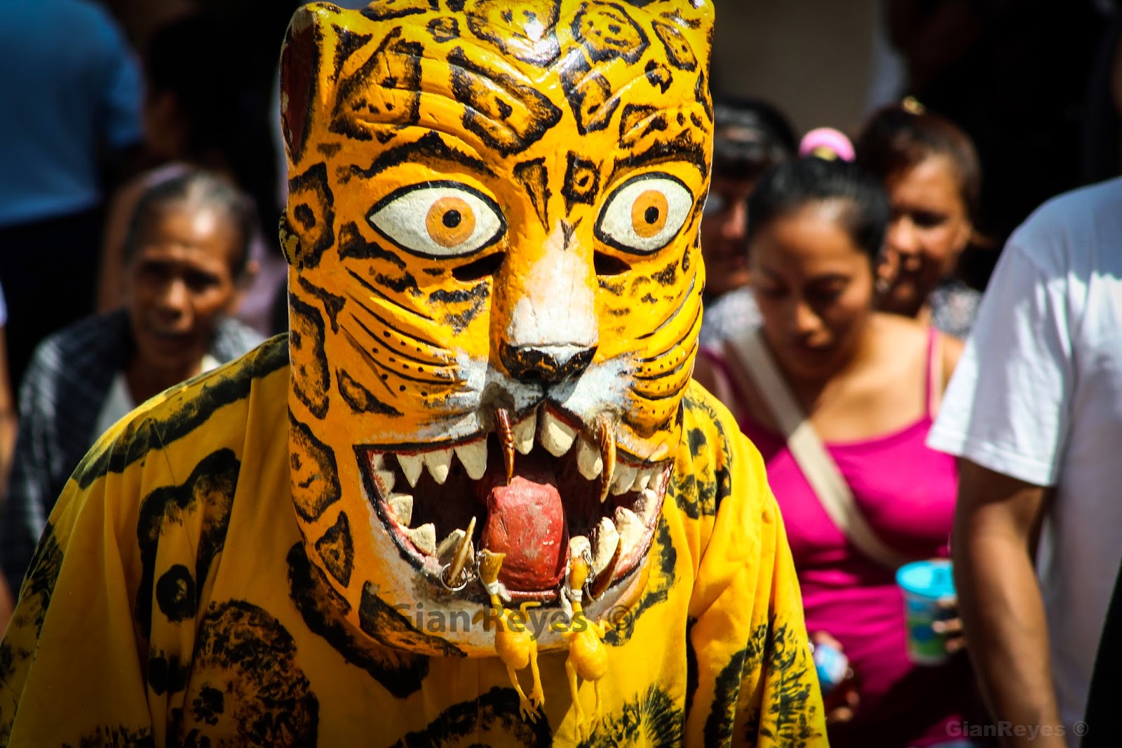 FoToRAma: Máscaras de Tecuan#Tigre#Jaguar
