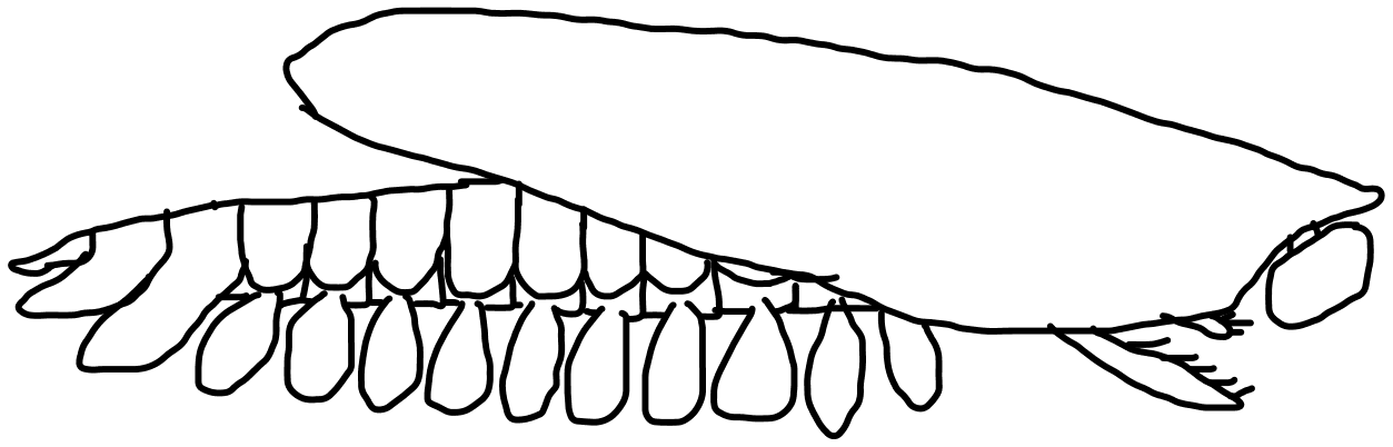 Misunderstood then, misunderstood now: the story of 'Zoon