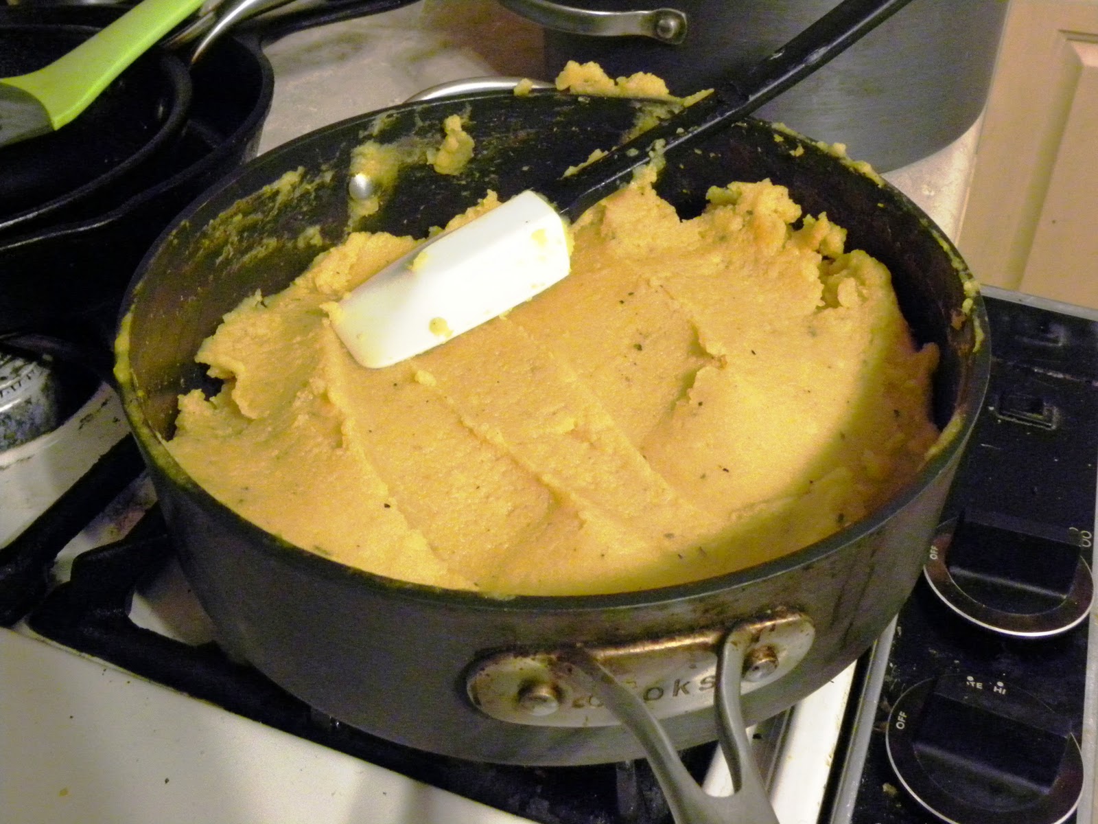 Living From Scratch: Persimmon Paste?