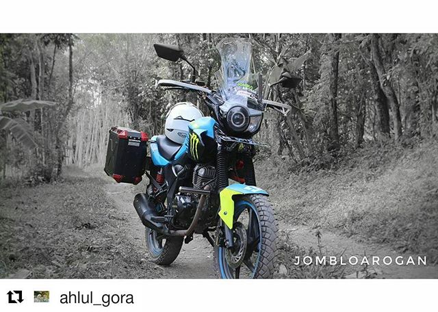 53 Foto Modifikasi Motor Tiger Revo Gaya Touring Terbaru
