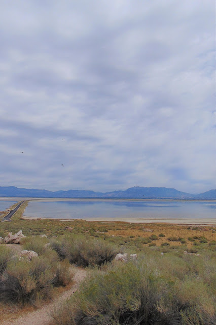 Visiting Utah's Antelope Island State Park