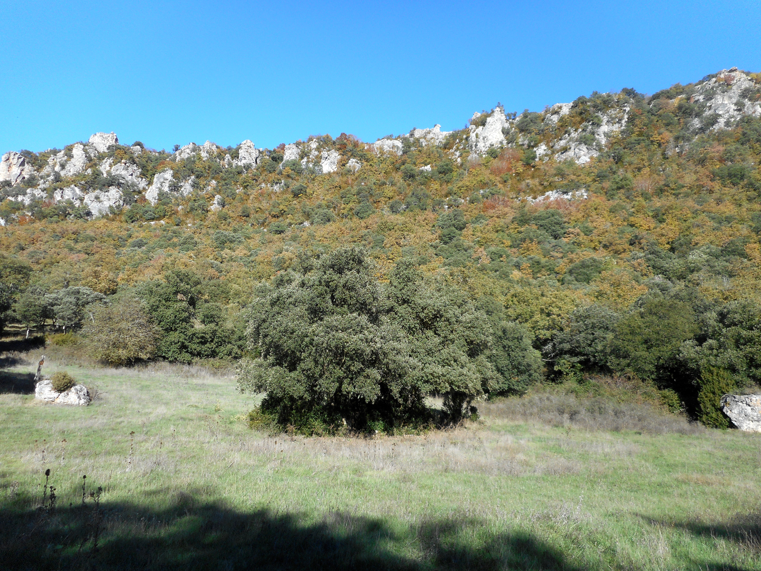 MONTES: noviembre 2016