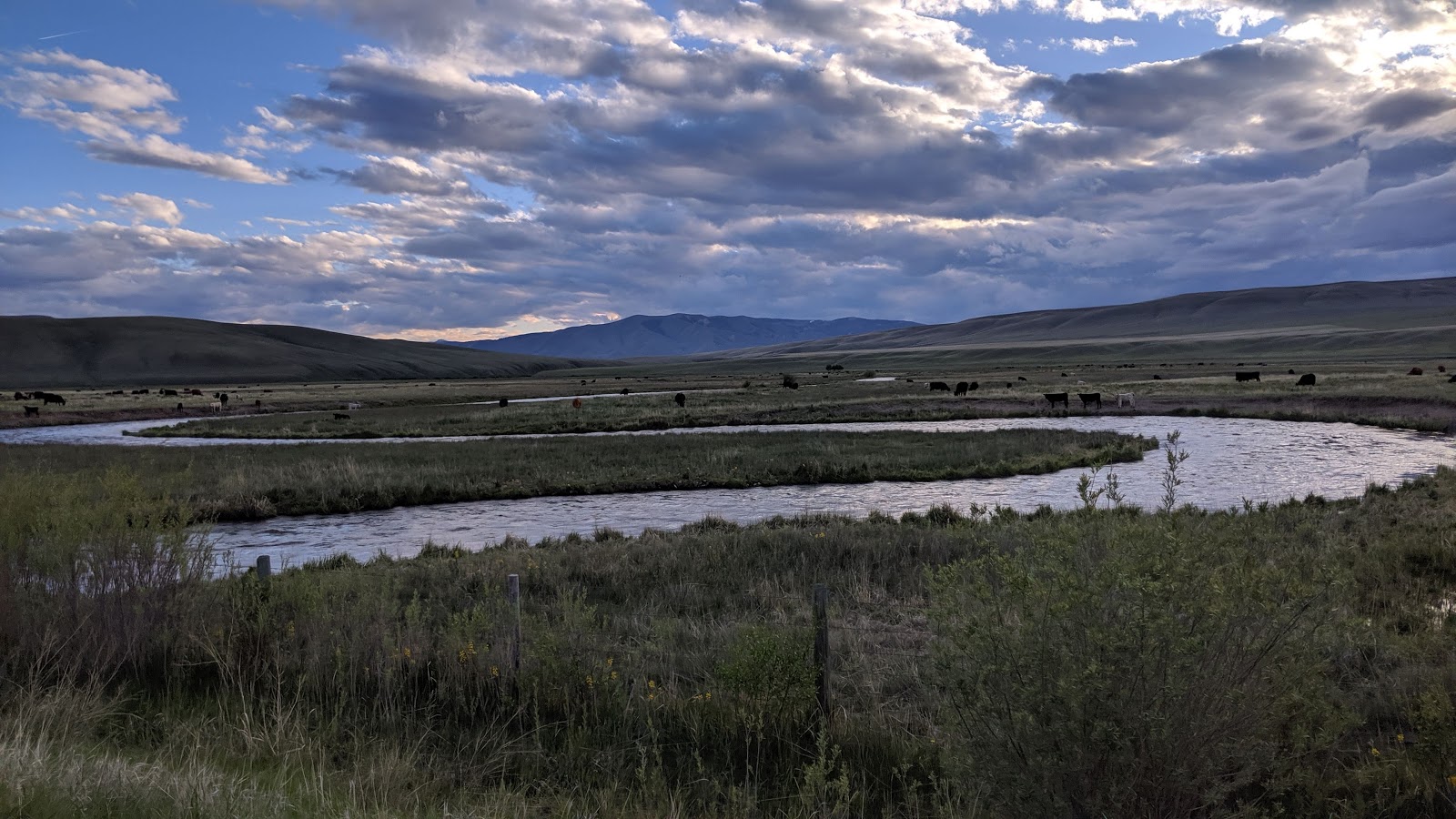 My Two Schillingsworth: Tour Divide '19: Day 10 - Montana High Country ...